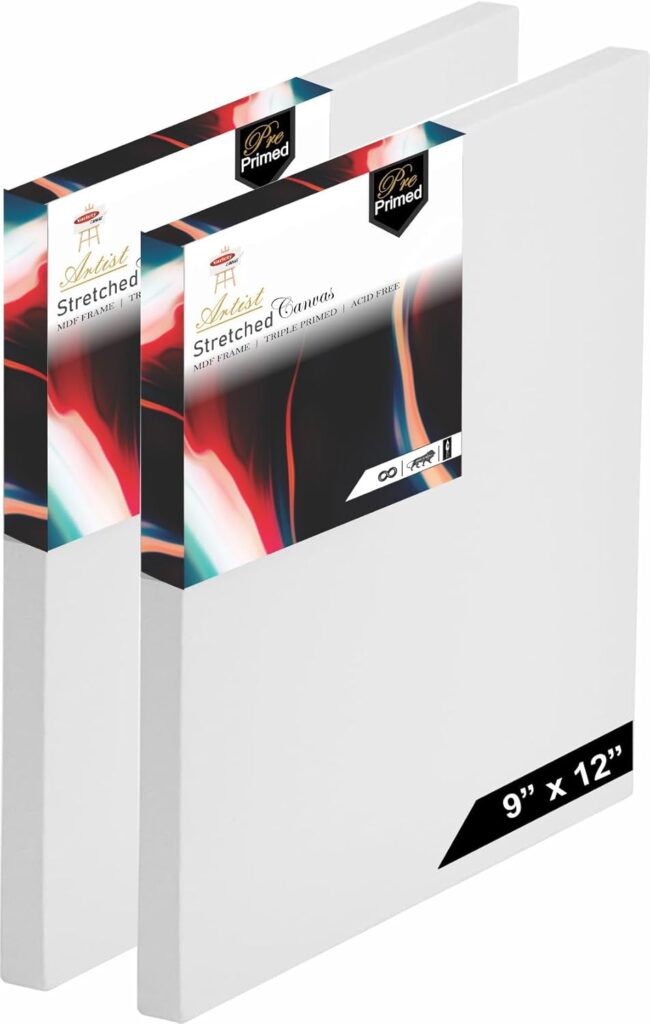 Variety Canvas 9 x 12 Inch 2 Piece Pre-Stretched Canvas Board for ...