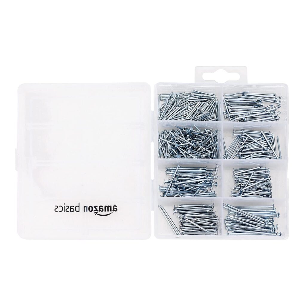 Basics 550-Piece Hardware Nail Assortment Kit with Storage Case - You Mart