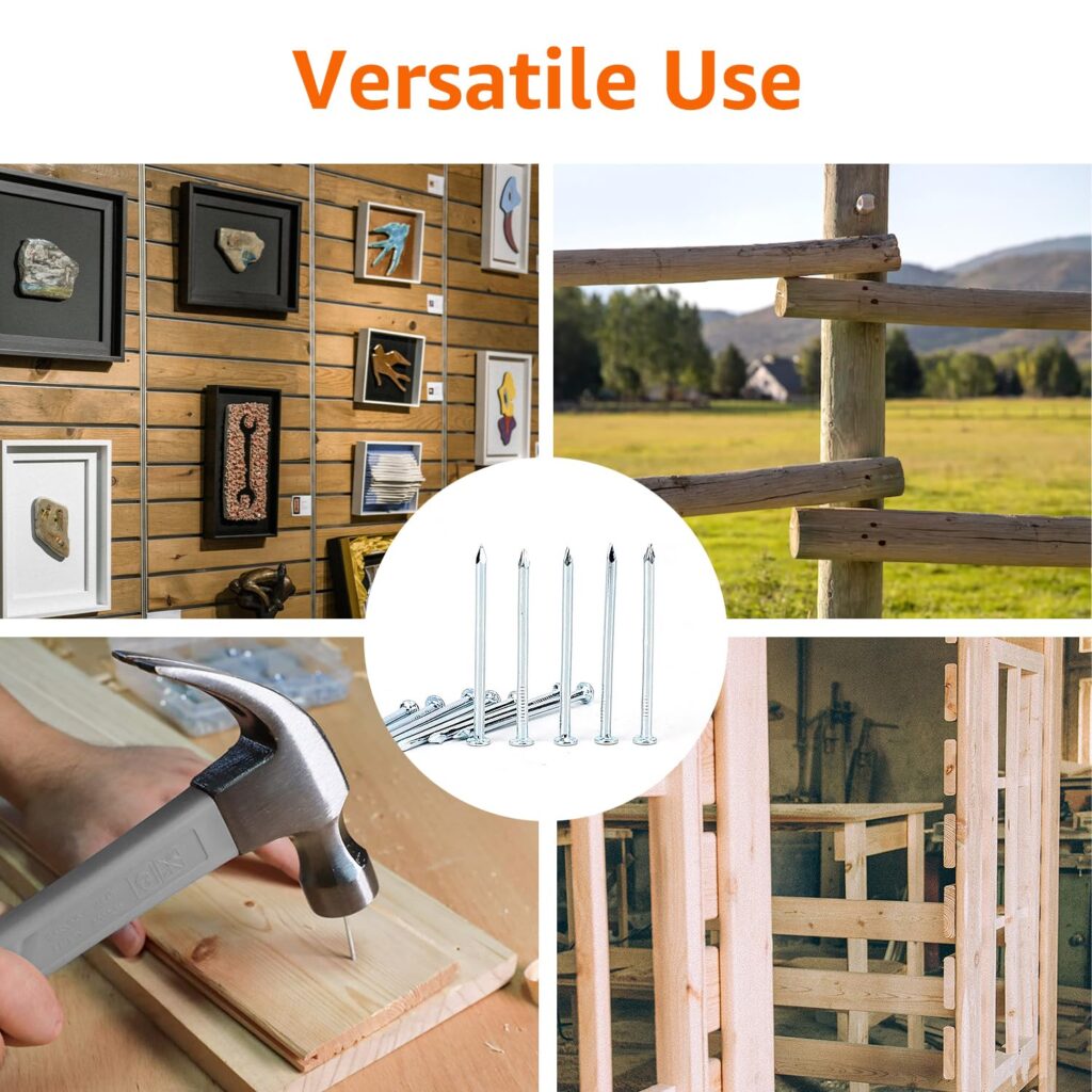 Basics 550-Piece Hardware Nail Assortment Kit with Storage Case - You Mart